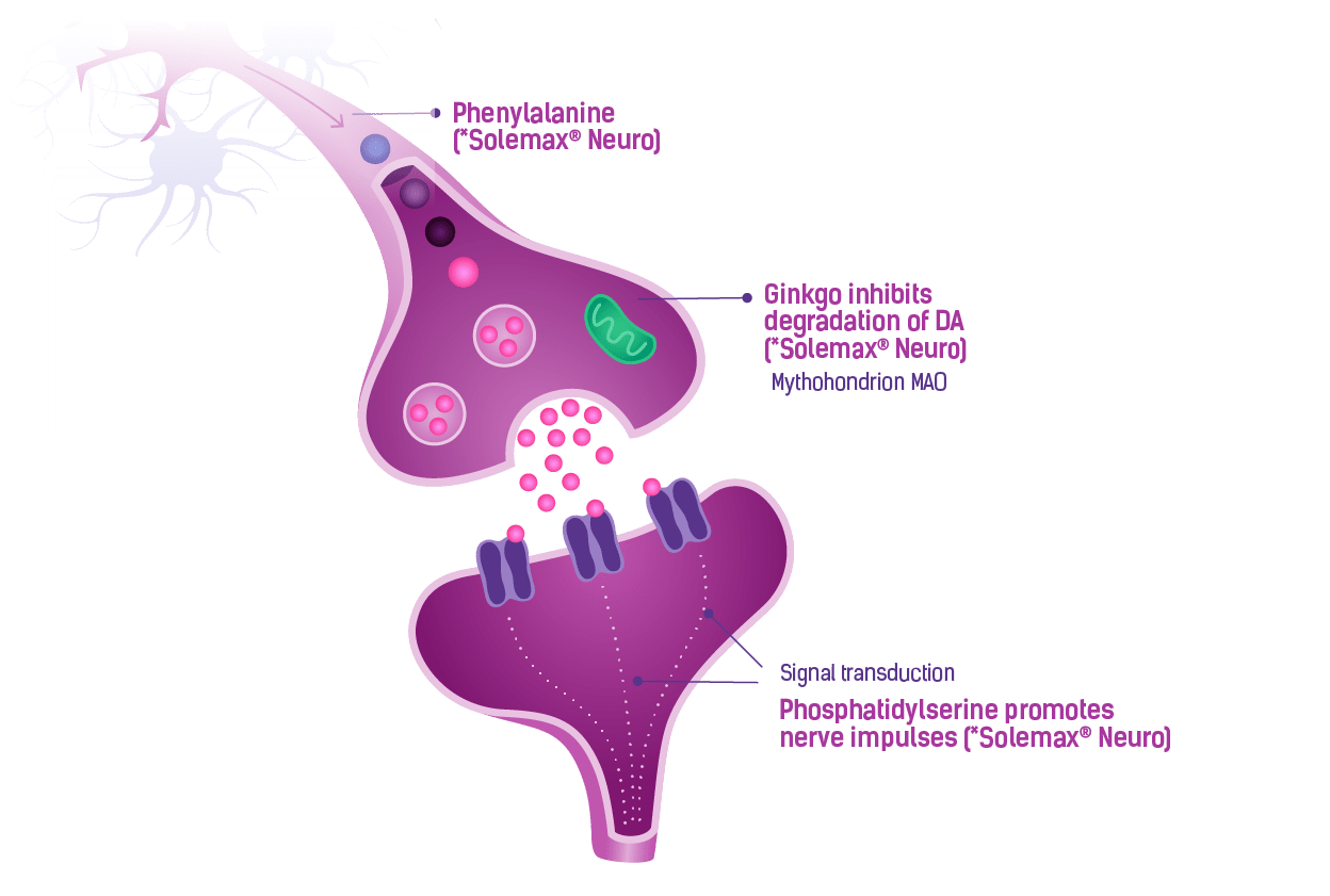 Solemax Neuro - anti age complex for brain, cognitive functions