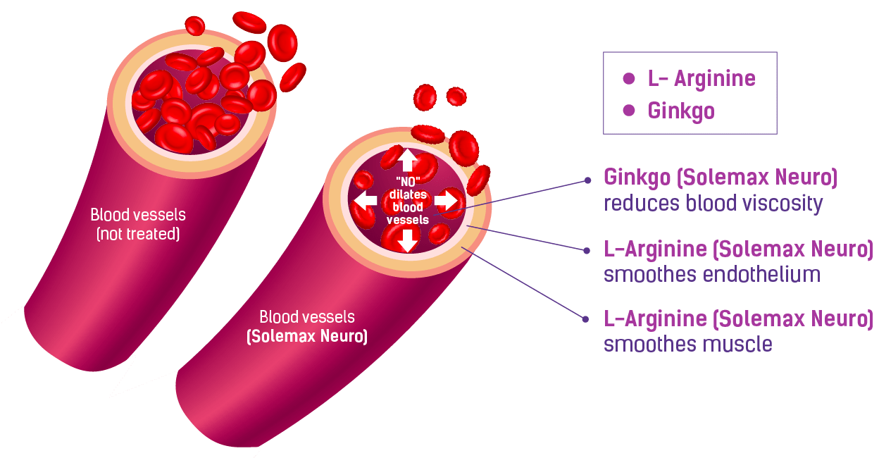 Solemax Neuro - anti age complex for brain, cognitive functions